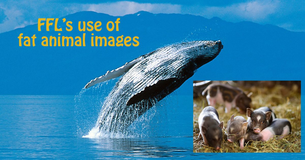 FFL's Use of Fat Animal Images